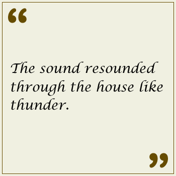 The sound resounded through the house like thunder.